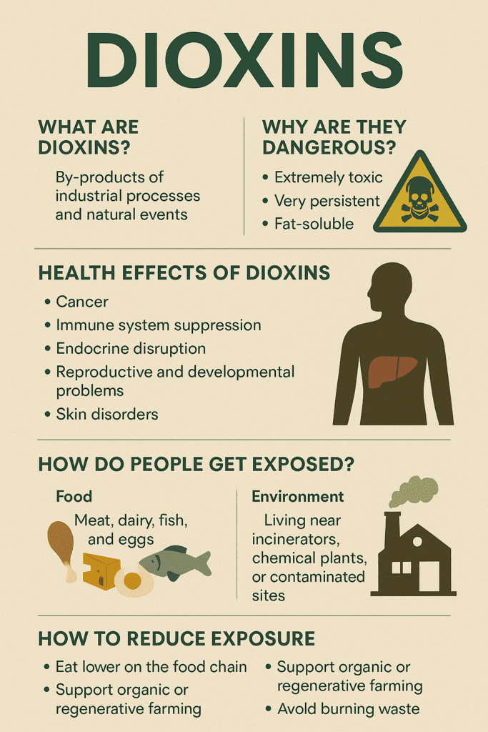Understanding Dioxins: A Persistent Environmental Threat - Natural Body ...